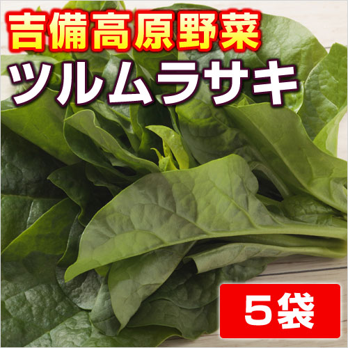 【楽天市場】【岡山産】吉備高原のツルムラサキ 5P ：高原マーケット かよう