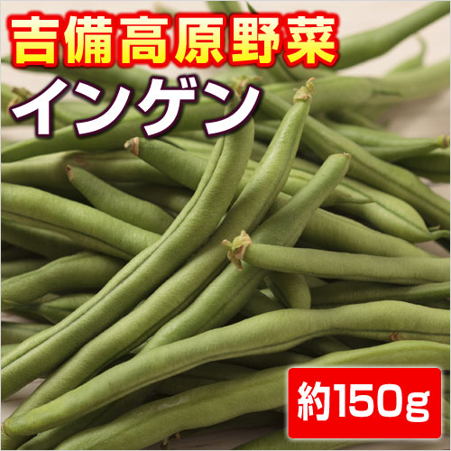 【楽天市場】【岡山県産】 インゲン 約100g：高原マーケット かよう
