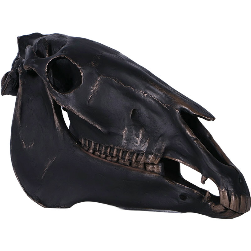【楽天市場】動物 オブジェ 馬の頭骨 壁掛け ブロンズ仕上げ インテリア イベント ディスプレイ Horse Skull：Gracious