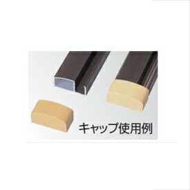 【楽天市場】タカショー 人工竹垣材料 ユニバンブー用胴縁 20×40用キャップ 『ガーデニングDIY部材』：エクステリアのキロ楽天市場支店