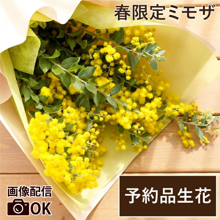 【楽天市場】【7日前予約品】 ミモザ 花束 花 退職祝い プレゼント 女性 『 生花 エターナル ブーケ 』 ドライフラワー スワッグ 卒業祝い 入学祝い 義母 誕生日プレゼント 母親 50代 ...