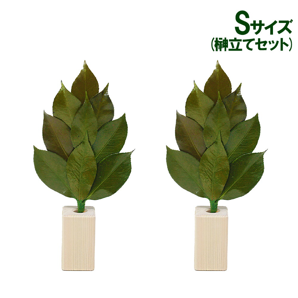 【楽天市場】プリザ 「榊 榊立てセット Sサイズ」 仏花 御供 お供え 周忌 四十九日 法要 供花 葬儀 お盆 お彼岸 A&K【AK】[ST ...