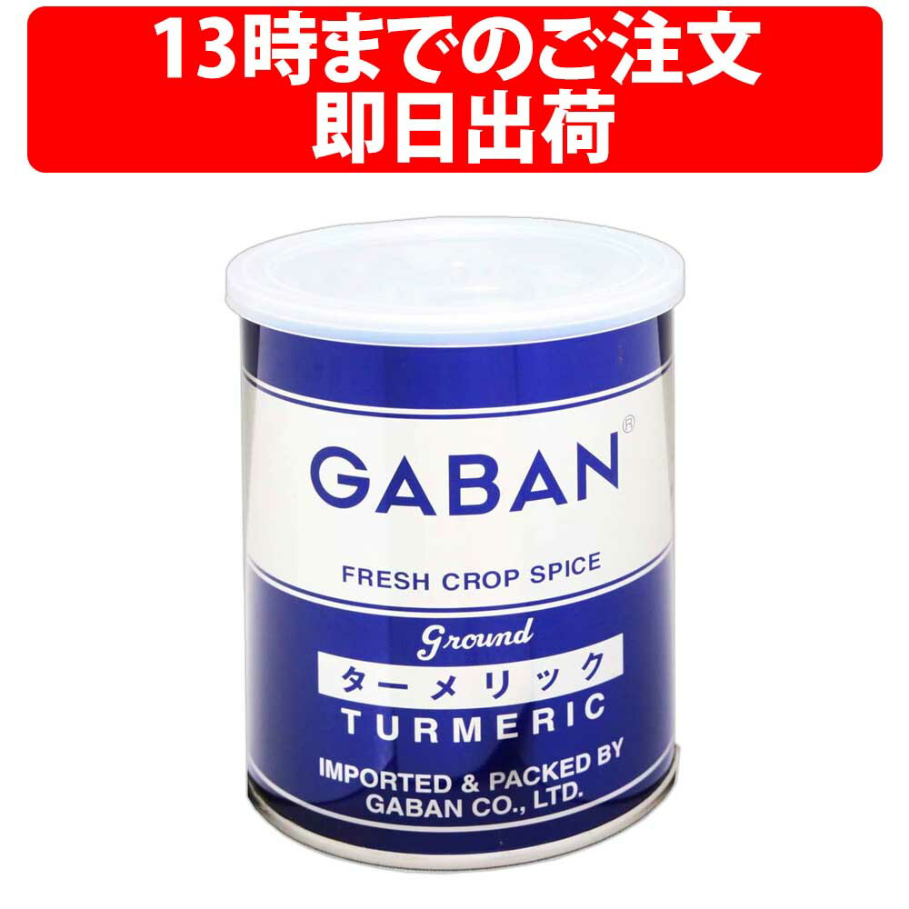 【楽天市場】ギャバン ターメリックパウダー 220g 缶 GABAN スパイス カレー 料理 うこん 香辛料 粉 Turmeric クルクミン 辛味 ターメリック 食品 ハーブ おうちカレー ...