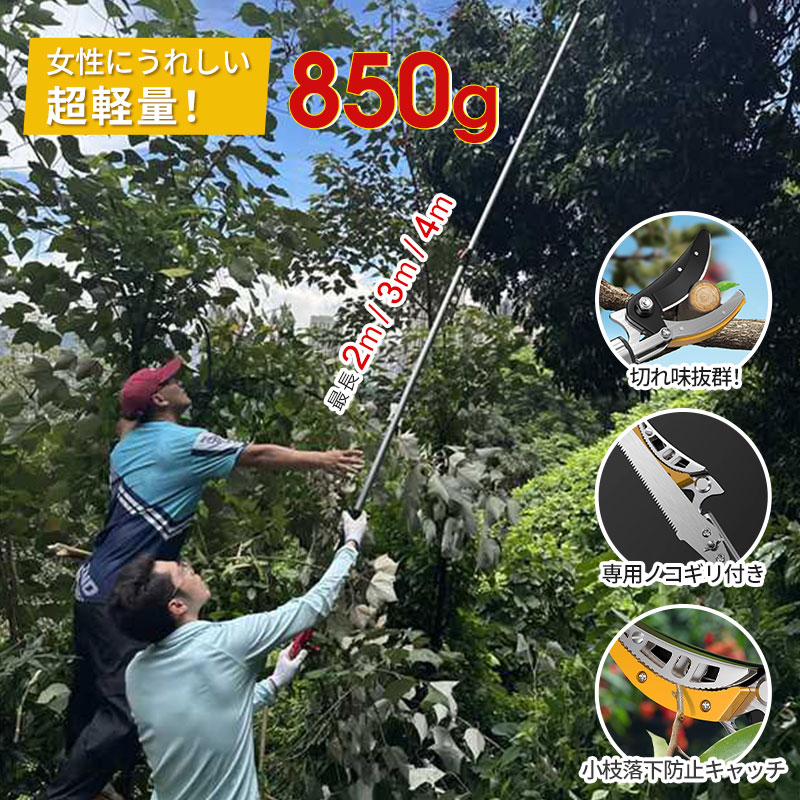 【楽天市場】高枝切りバサミ 2段伸縮式 伸縮 2m 3m 4m 軽量 たかえだきりはさみ SK5高級炭素刃 高枝切り鋏 鋸付き 高枝切り鋏 高枝切りノコギリ はさみ ガーデニング用品 果樹園 ...