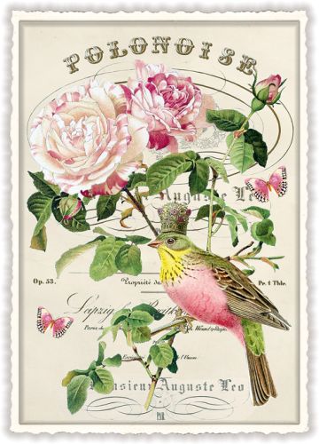 【楽天市場】"Charming birds in beautiful flowers"ラメ加工ダイカットポストカード：ココロショップ