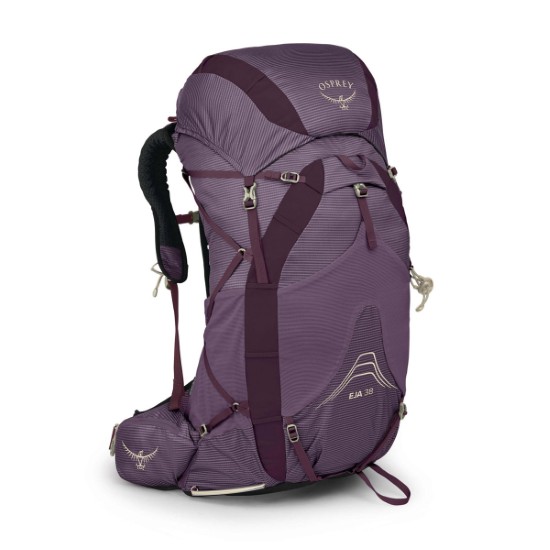 楽天市場】オスプレー エクソス 38 OS50328 メンズ/男性用 バック