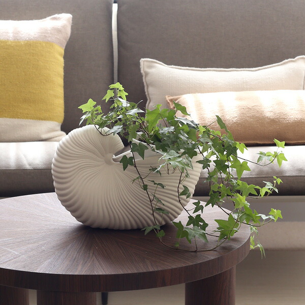 【お取り寄せ】Ferm Living (ファームリビング) Shell Pot(シェルポット) オフホワイト 北欧/インテリア/花瓶/フラワー ...