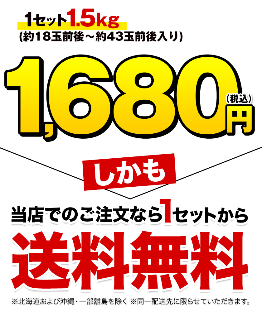 【3セット購入で3kgオマケ！】 小玉 みかん 送料無料 訳あり ミカン 小粒 果物 小粒 熊本 1.5 kg 【 5 kg 以下( 5キロ・5k)】極早生 柑橘 九州 小玉 蜜柑 わけあり ...