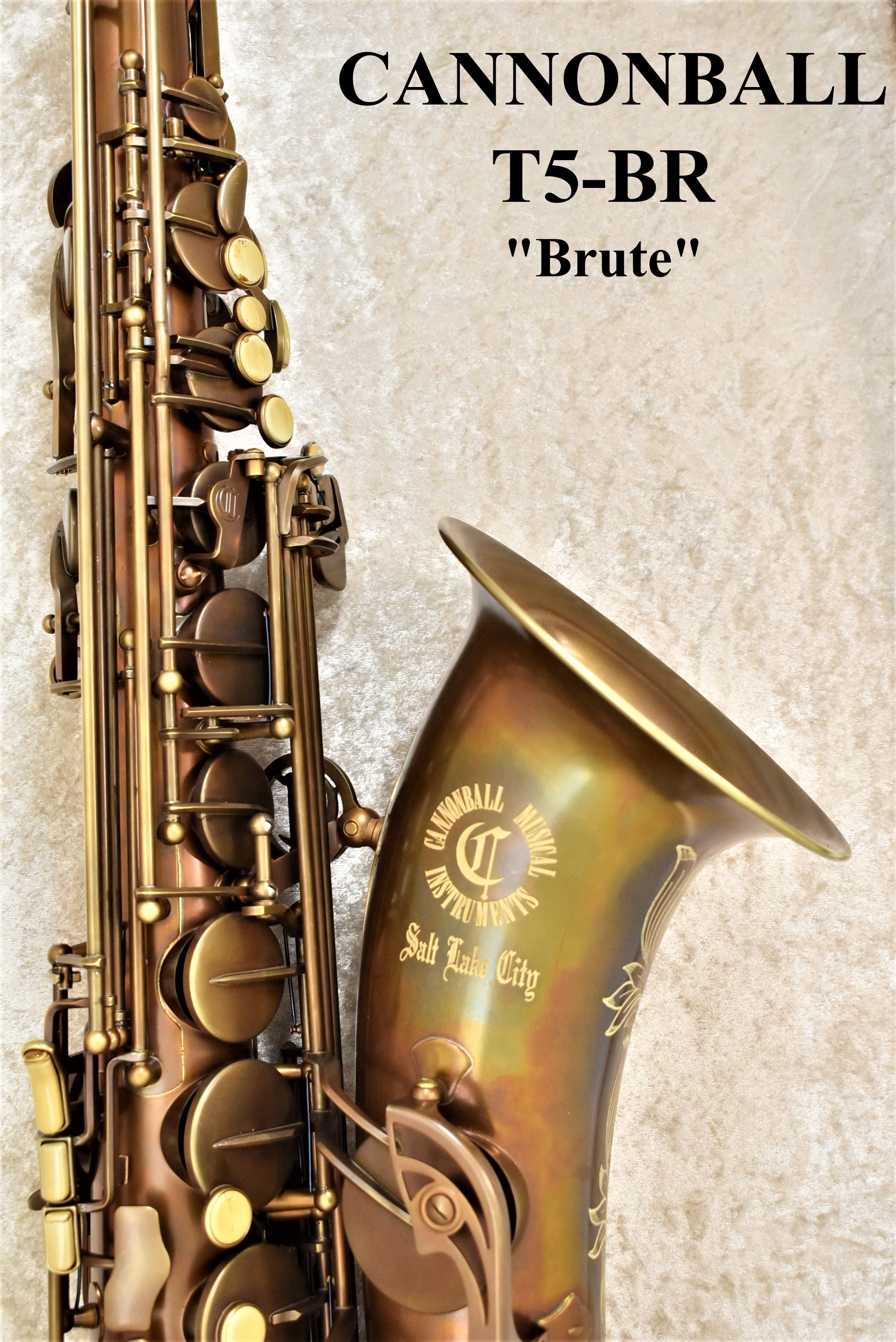 【楽天市場】《即納可能！》Cannonball T5-BR "Brute"【新品】【BigBellStoneSeries】【キャノンボール ...