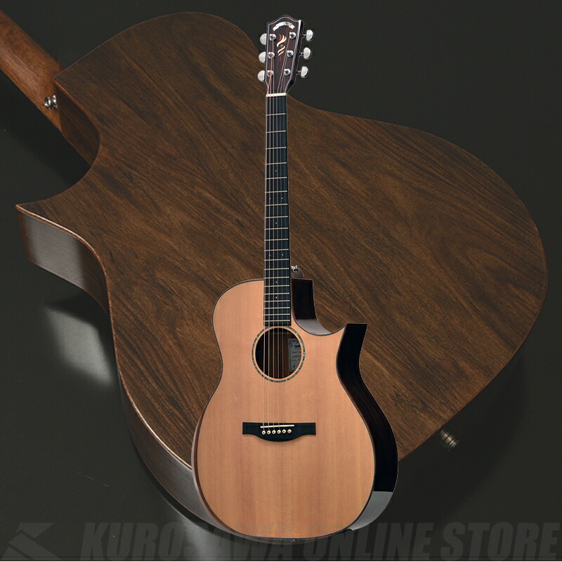 【楽天市場】HEADWAY HGAF-5100SE/C【送料無料】(ご予約受付中)【ONLINE STORE】：クロサワ楽器65周年記念SHOP