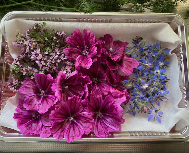 【楽天市場】KURUMAYA-herb エディブドフラワー 長野県斑尾山 栽培期間農薬不使用無化肥 添え物：KURUMAYA-herb