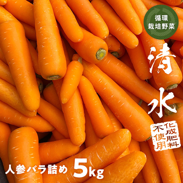 【楽天市場】循環栽培野菜 【清水】人参 バラ詰め 5キロ 入り にんじん 約25～35本入り 化成肥料不使用 野菜 ニンジン 清水の人参：櫛田 ...