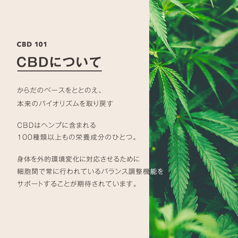 【楽天総合1位 SNSで話題】CBD スポーツバーム roun cbdバーム ボディクリーム 70g 15g CBD2400mg CBD＆アルニカ高配合 ラウン 正規品 筋肉 クリーム cbd ...