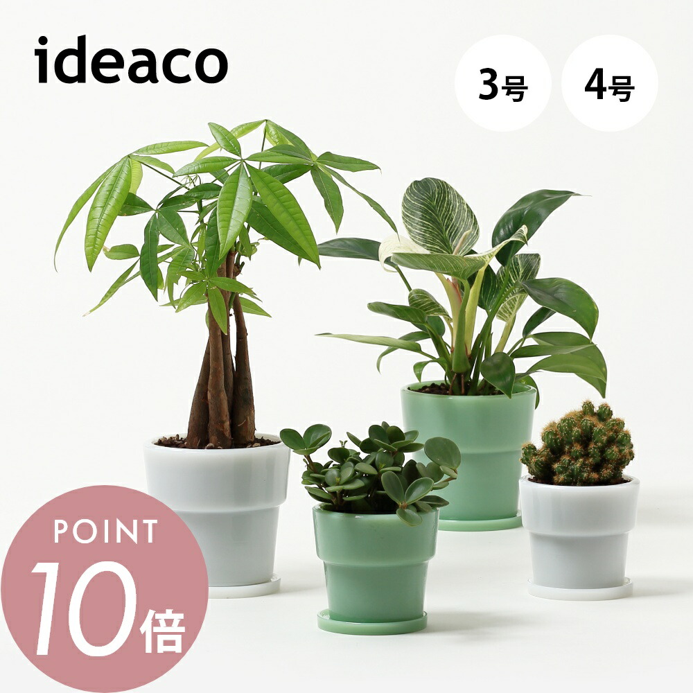 【楽天市場】ideaco イデアコ ミルクガラス プランターポット 3号 4号 鉢 受け皿付き ガーデニング用品 植木鉢 おしゃれ 受け皿 花 植物 ミニ 小型：Lib リブ