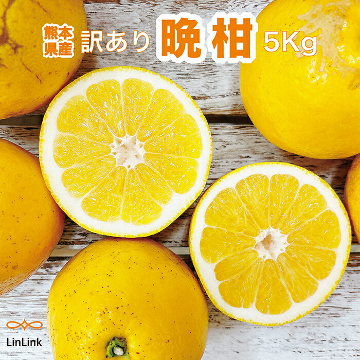 【楽天市場】【予約商品】【訳あり品】 晩柑 ジューシー 河内晩柑 和製グレープフルーツ ジューシーオレンジ 5kg 熊本県産 九州産：リン ...