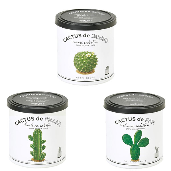【楽天市場】カクタスdeカクタス 丸サボテン 柱サボテン ウチワサボテン 種から育てる栽培セット 栽培セット 栽培キット サボテン 初心者 ...
