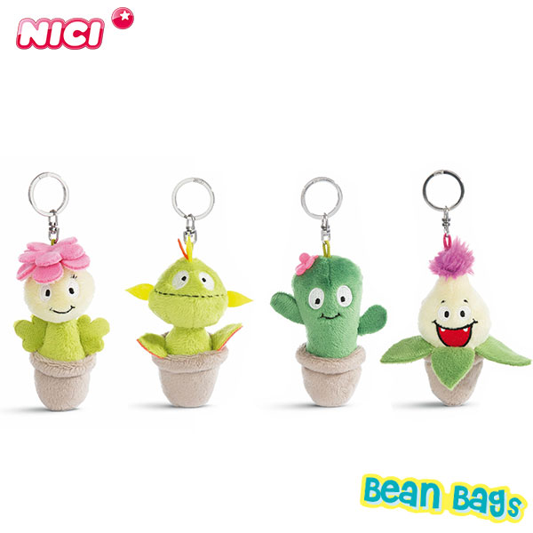 【楽天市場】ニキ NICI BB ファニーフラワーズ セダム アマリア カーニバルプラント ジセラ サボテン ヘンリエット アロエベラ ヴィリ ...