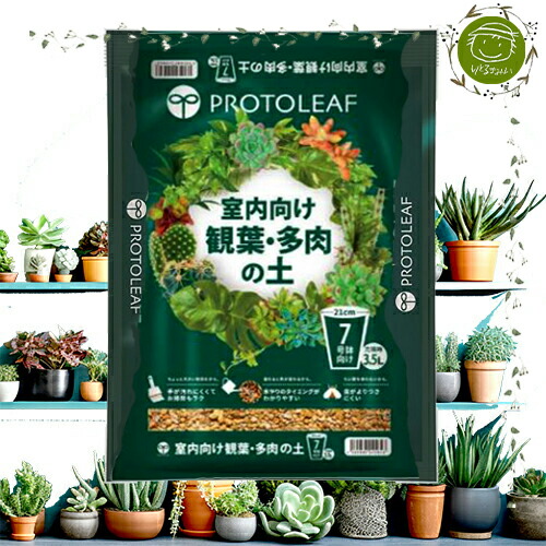 【楽天市場】PROTOLEAF 室内向け観葉・多肉の土 7号鉢用約3.5L：りとるまみい[木のおもちゃ雑貨]