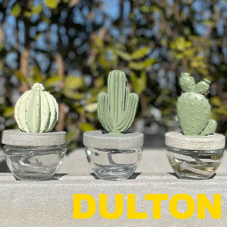 【楽天市場】DULTON ダルトンCACTUS FRAGRANCE DIFFUSERカクタス フレグランス ディフューザー：Living Plaza Camp 楽天市場店