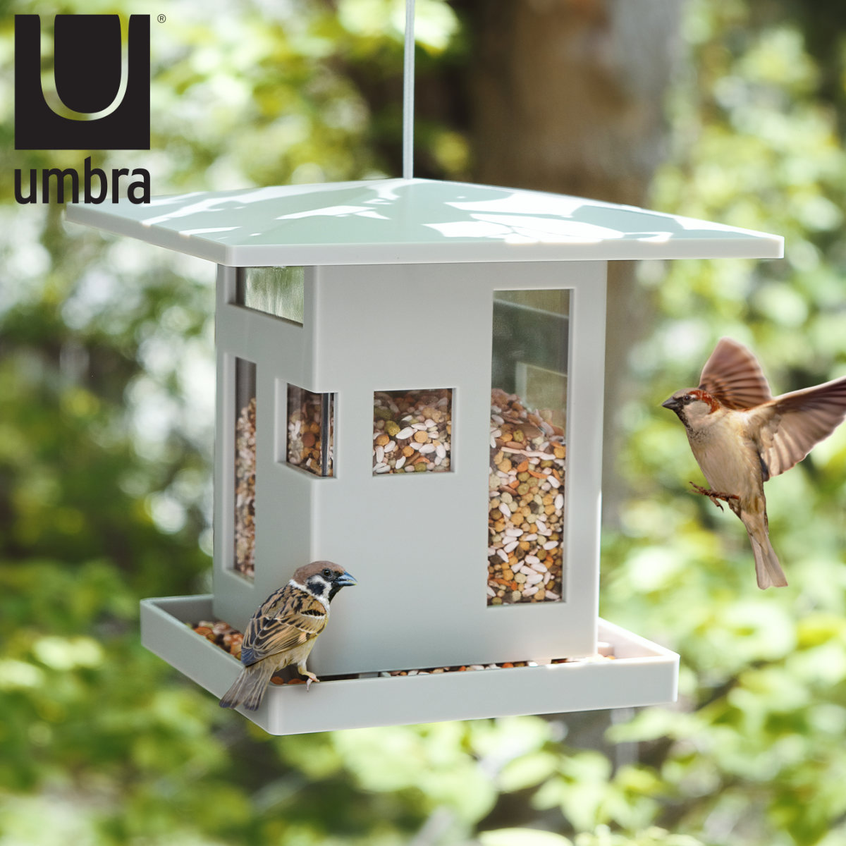 【楽天市場】バードフィーダー Umbra バードカフェ （ 野鳥 小鳥 鳥の餌台 鳥の餌箱 鳥 エサ台 給餌器 餌入れ 餌台 自動供給 ...