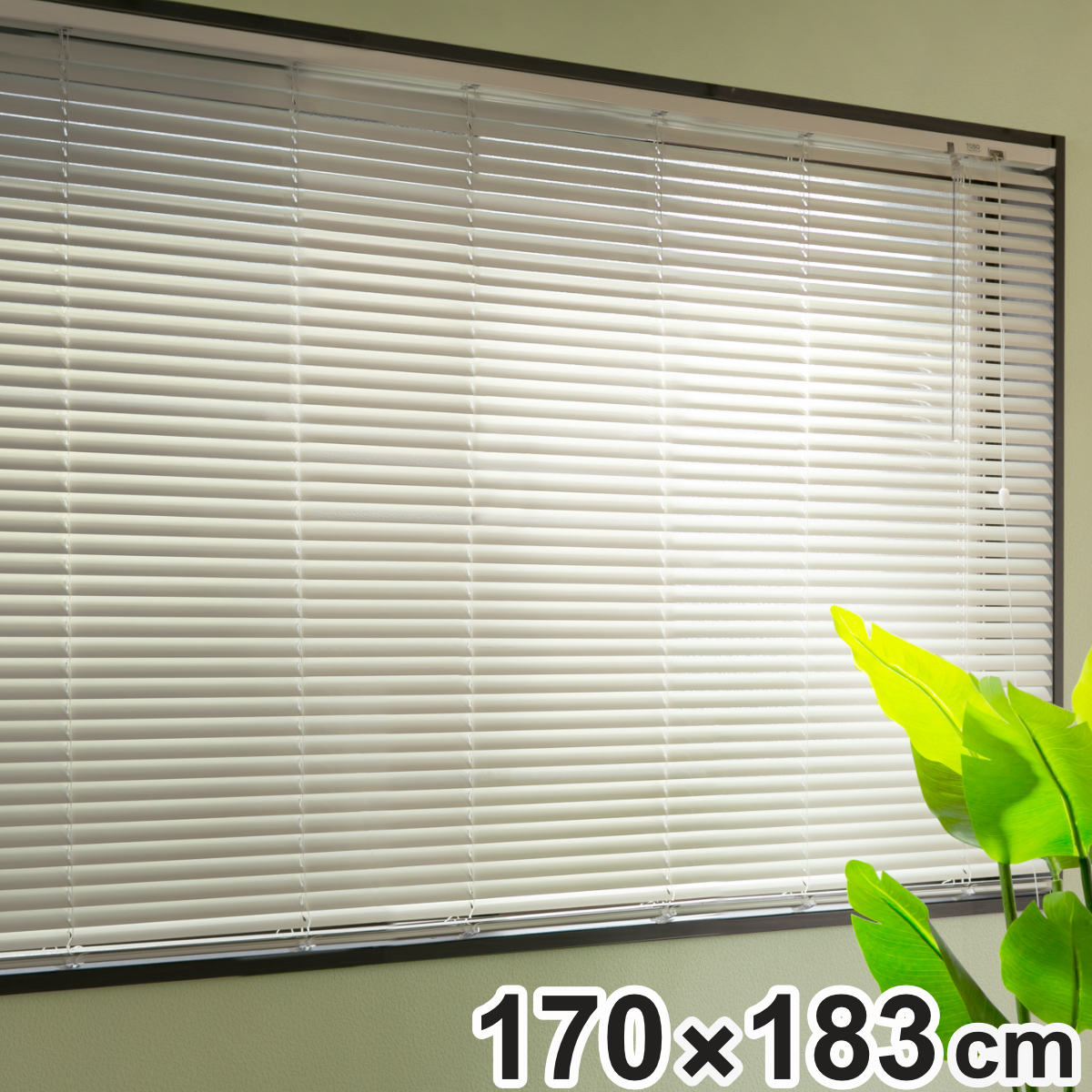 【楽天市場】ブラインド 170×183cm アルミ製 トーソー （ TOSO アルミ製ブラインド ブラインドカーテン カーテンレール アルミブラインド カーテン 既製 横型 天井付け 正面付け ...