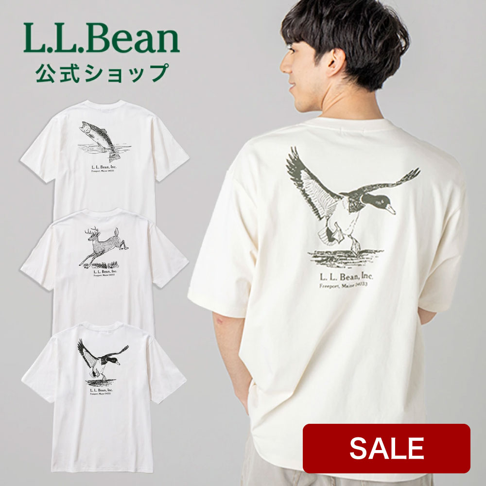 【楽天市場】【SALE20%OFF】【公式】 エルエルビーン モリル ショートスリーブ アニマル グラフィック ティ | トップス 半袖T ...