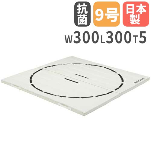 楽天市場】【P5倍1/10 13-15時&最大1万円ｸｰﾎﾟﾝ1/9-15】 【法人限定