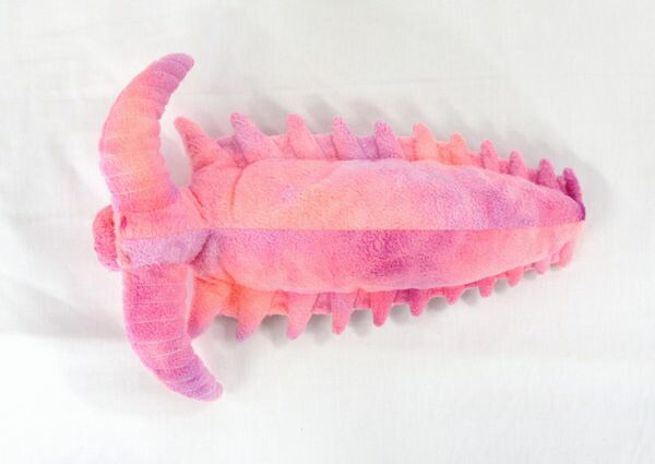 【楽天市場】パンブデルリオン Pambdelurion サイズ：35cm：Love Journey