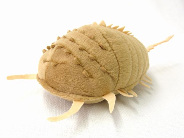 【楽天市場】ハベリア Habelia サイズ:20cm：Love Journey