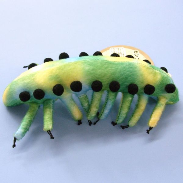 【楽天市場】ミクロディクチオン Microdictyon sinicum サイズ:21cm：Love Journey