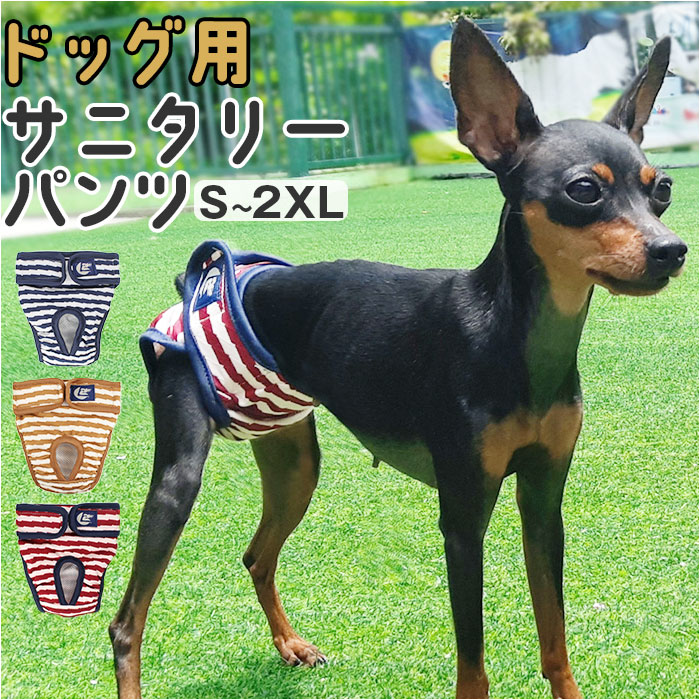 【楽天市場】犬 マナーパンツ 定番 サニタリー パンツ サニタリーパンツ マナーバンド オムツカバー おむつカバー ドッグウェア 犬の服 ...