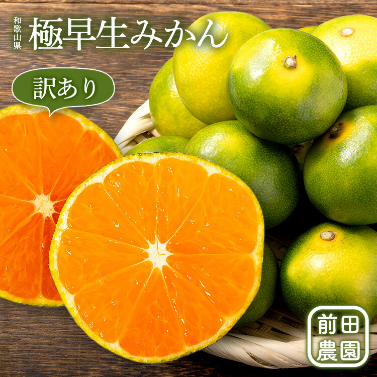 【楽天市場】和歌山県産 みかん 極早生みかん YN26 訳あり 5kg ご家庭用 中玉 小玉 産地直送：前田農園