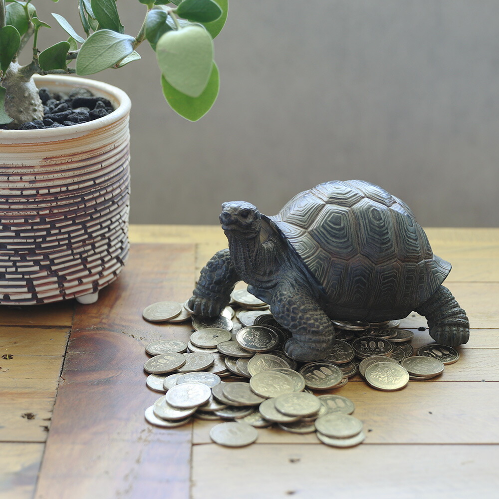 【楽天市場】リクガメ カメ 亀 リアル 貯金箱 オブジェ 置物 PET BANK TORTOISE ( ペットバンク トータス )：MAG ...