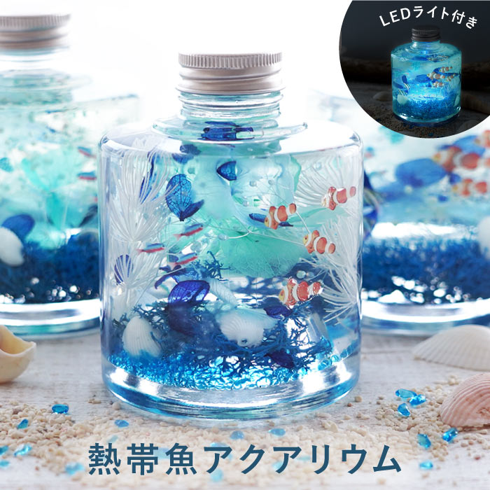 【楽天市場】ハーバリウム ギフト 夏 花 新築祝い インテリア雑貨 おしゃれ 『 熱帯魚 アクアリウム 』 おもしろ プレゼント 魚 男の子 子供 誕生日プレゼント 女性 女友達 男性 妻 ...