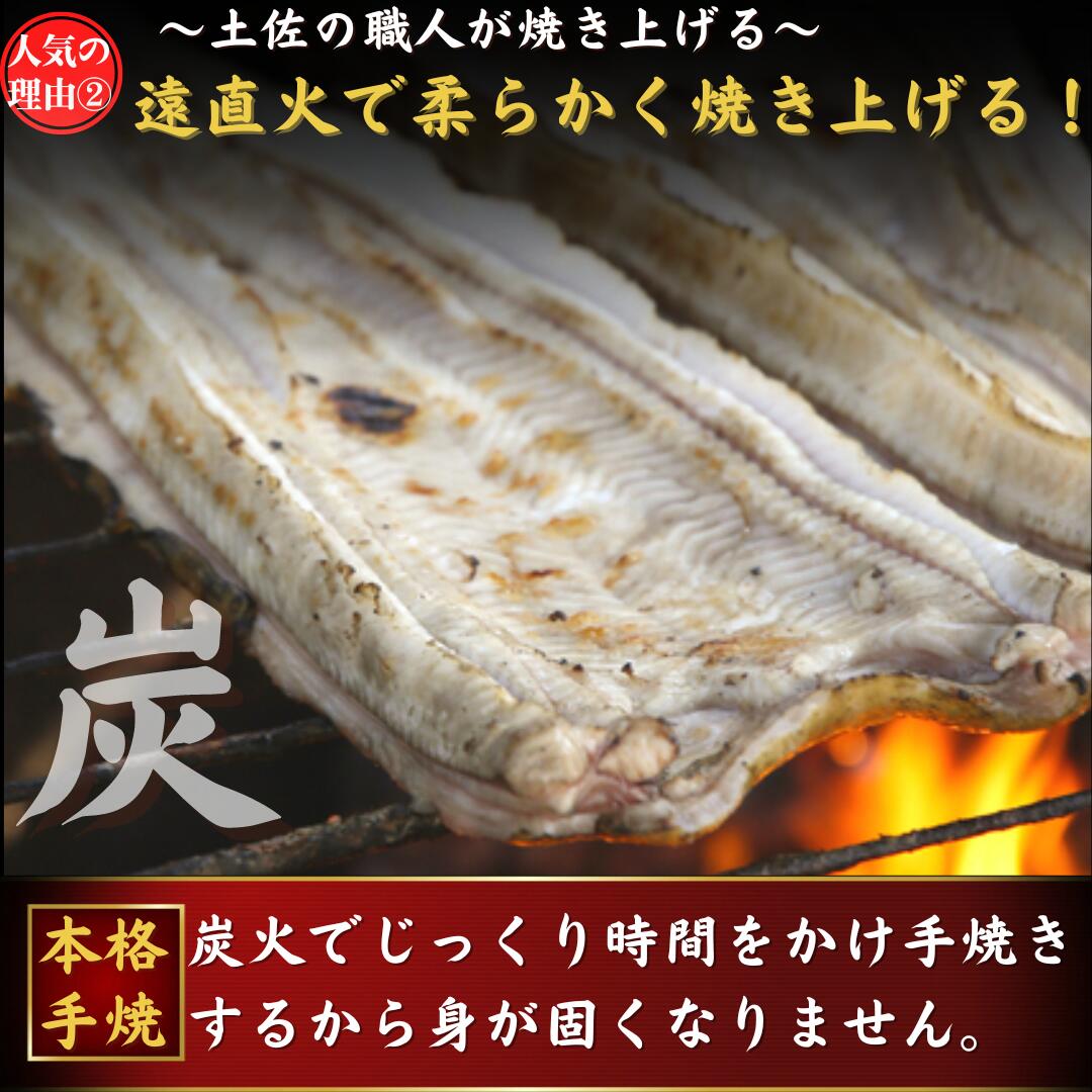 【楽天市場】高知県産 ウツボのたたき お試し 同梱用 2人前 うつぼ 伝統食 海鮮 珍味 誕生日 プレゼント ギフト おつまみ お取り寄せ お ...