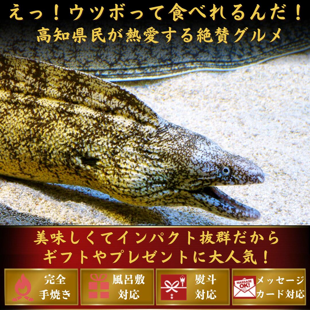 【楽天市場】高知県産 ウツボのたたき お試し 同梱用 2人前 うつぼ 伝統食 海鮮 珍味 誕生日 プレゼント ギフト おつまみ お取り寄せ お ...