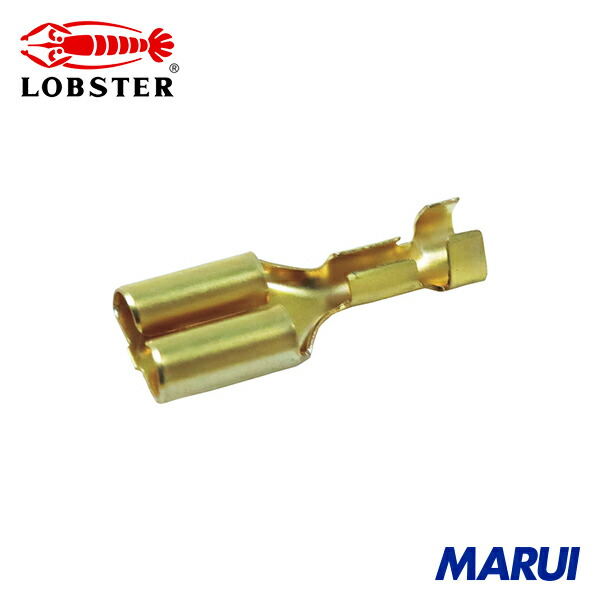 【楽天市場】エビ 電装タ-ミナル(100個入) F32F 1袋 F32F 【DIY】【工具のMARUI】：MARUI