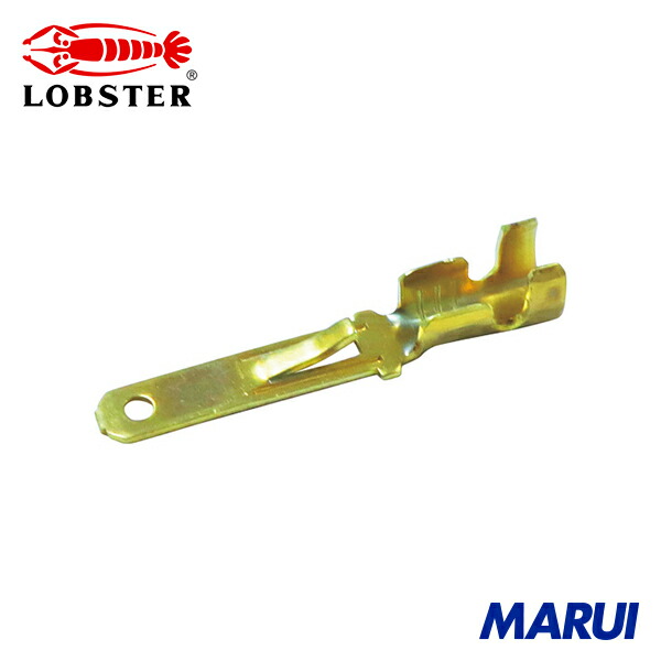 【楽天市場】エビ 電装タ-ミナル(100個入) F11M 1袋 F11M 【DIY】【工具のMARUI】：MARUI