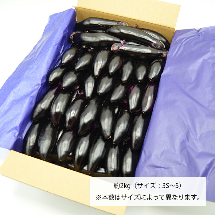 【楽天市場】山形県産 ハウス 小茄子 約2kg ( 3S ～ Sサイズ )【 送料無料 ハウス栽培 小なす 漬物 浅漬け用 おすそ分け シェア 夏野菜 ナス】：まるっと青果