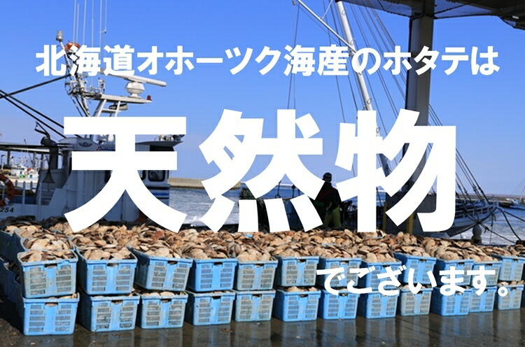 【楽天市場】ホタテ ほたて 帆立 ホタテ貝柱 北海道産 化粧箱入 お刺身用 1kg 61-80粒入 小サイズ 5Sサイズ 送料無料 ギフト：北海道産ホタテ専門店小林正男商店