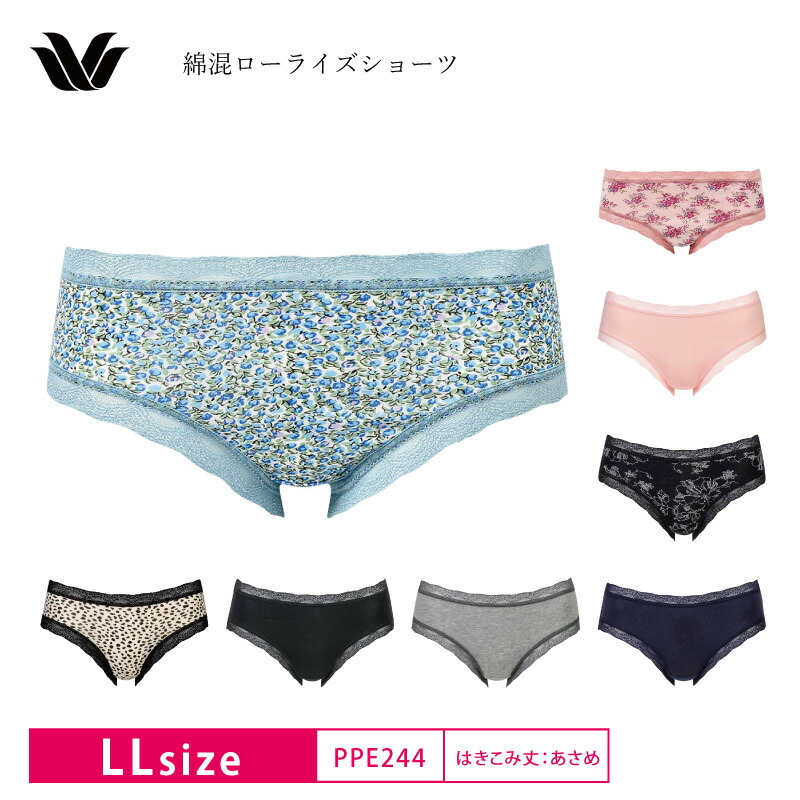 【楽天市場】25％OFF wacoal ワコール レディース 綿混ショーツ ローライズ パンツ デザイン豊富 LLサイズ PPE244：BLUE WING ブルーウイング