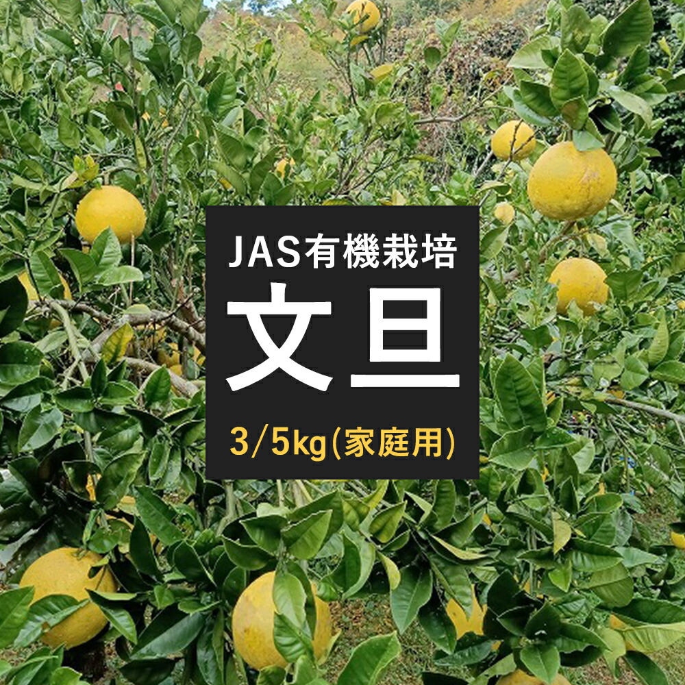 【楽天市場】JAS有機栽培文旦 (家庭用) 3kg 5kg l ぶんたん フルーツ 果物 ビタミンC：まぜ南風コレクション