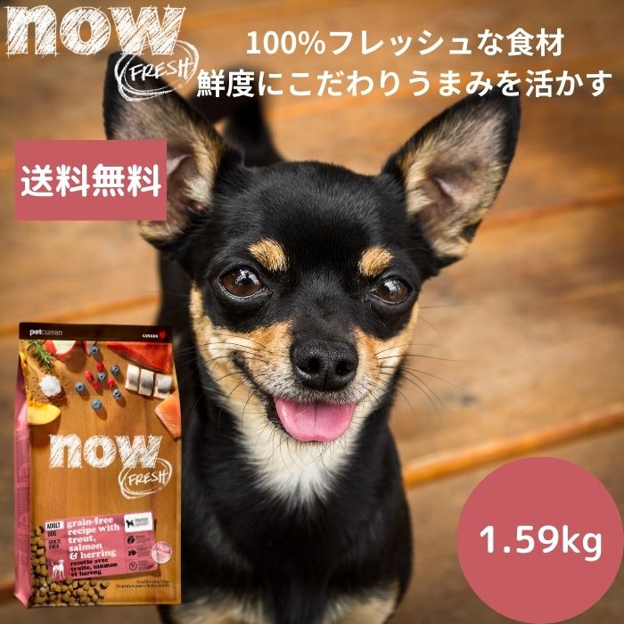 【楽天市場】【選べるサンプル3個プレゼント付き】NOW FRESHナウフレッシュ フィッシュアダルト1.59kgNOW FRESH 成犬 ...