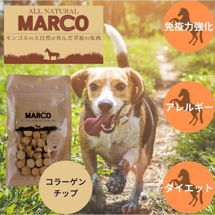 【楽天市場】馬肉のおやつMARCO 馬コラーゲンチップ 40gマルコ 無添加 無着色 犬おやつ トリーツ ジャーキー FLF 馬肉 サプリメント コラーゲン：マーキュリードッグ