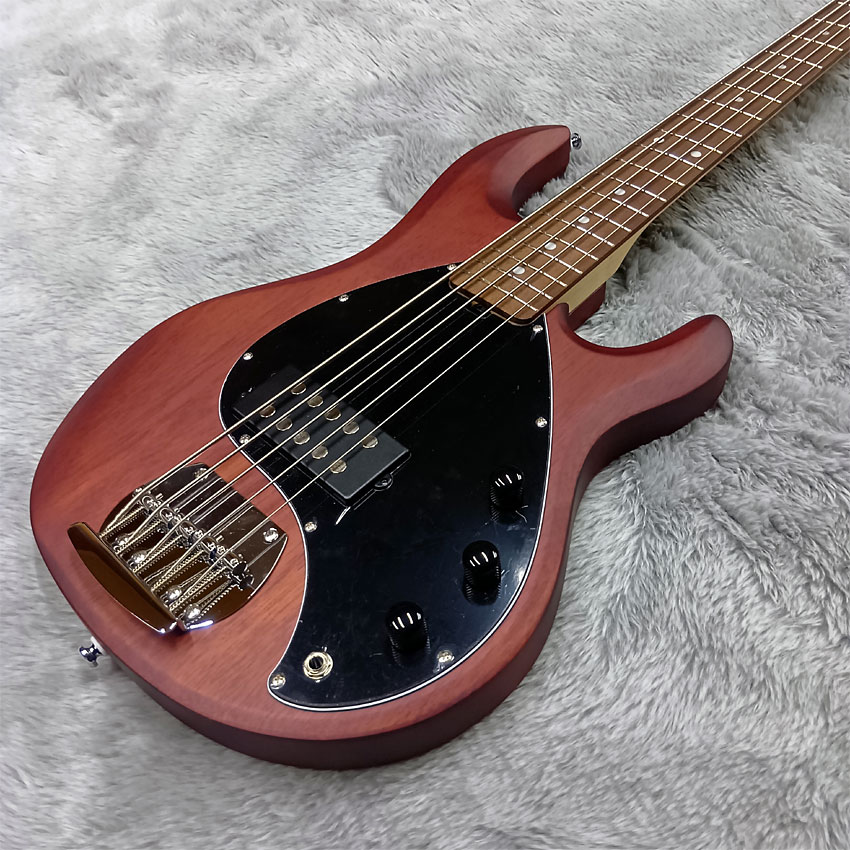 【楽天市場】Sterling by MUSIC MAN ベースギター エレキベース Ray5 Walnut Satin 5弦ベース スティング ...