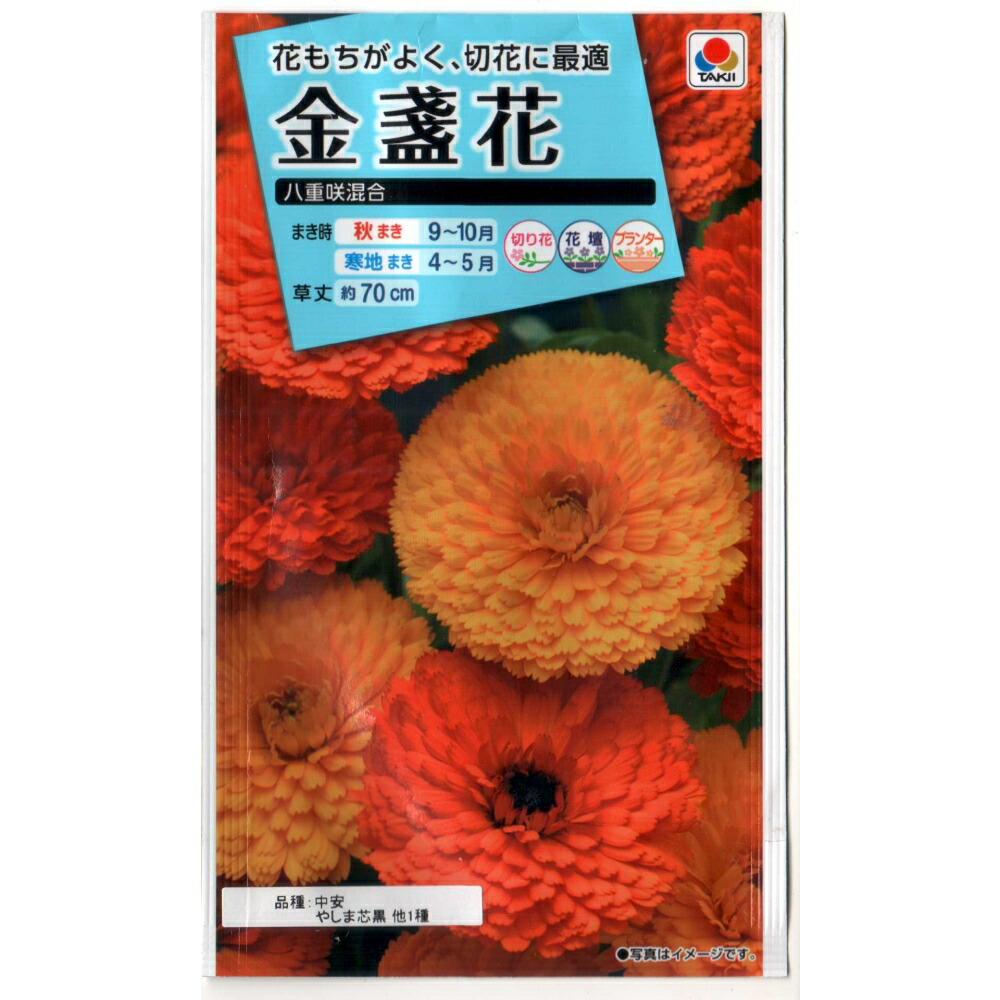 【楽天市場】金盞花 八重咲混合：みづほ商店