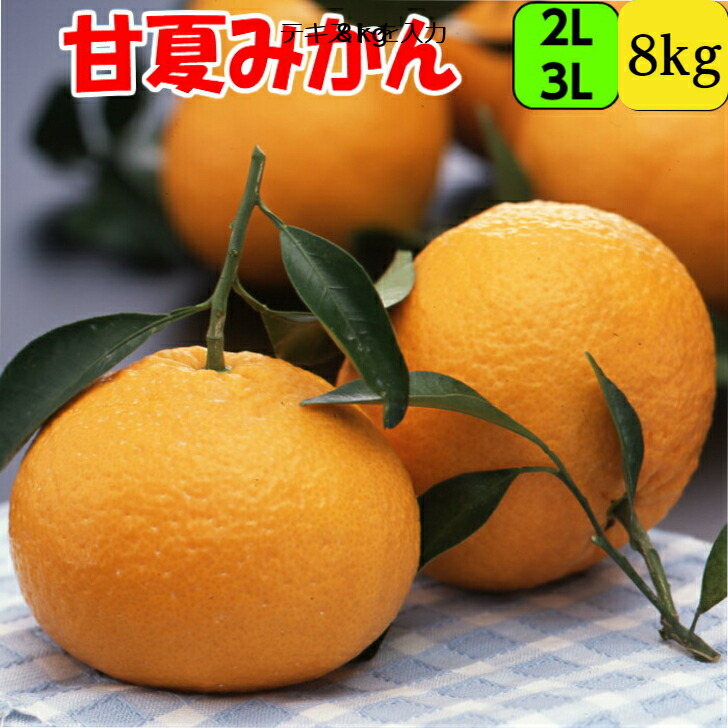 【楽天市場】秀品 木成り 甘夏 みかん 8kg 2L 又 3L 送料無料 香りがよく甘味の中に酸味があり、瑞々しくさわやかな甘酸っぱさが楽しめます木熟 甘夏みかん あまなつ 夏みかん 紀南 ...
