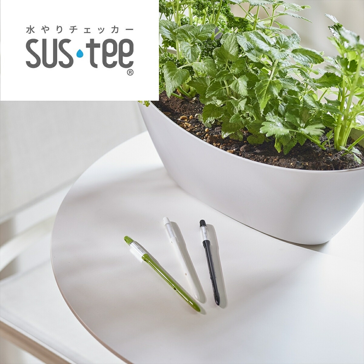 【楽天市場】水やりチェッカー サスティー 土壌水分計 sustee シングルパック / リフィル S / M / L ホワイト グリーン ...