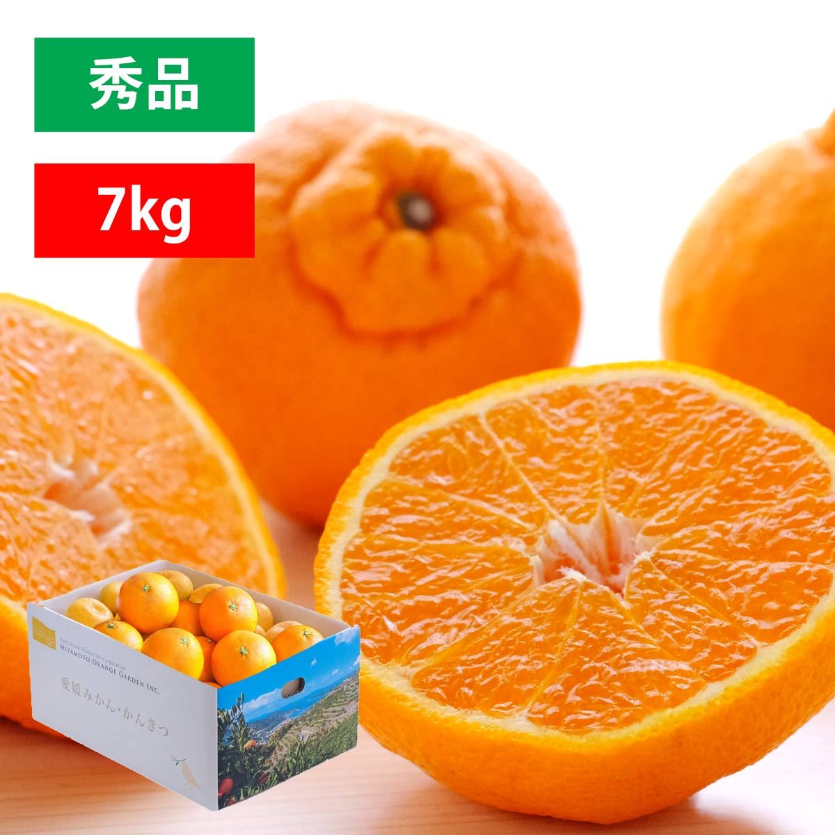 【楽天市場】デコポン みかん 不知火 送料無料 秀品 7kg M～2Lサイズ デコ 果物 旬 フルーツ 愛媛産 デコポンと同品種：みかんの花