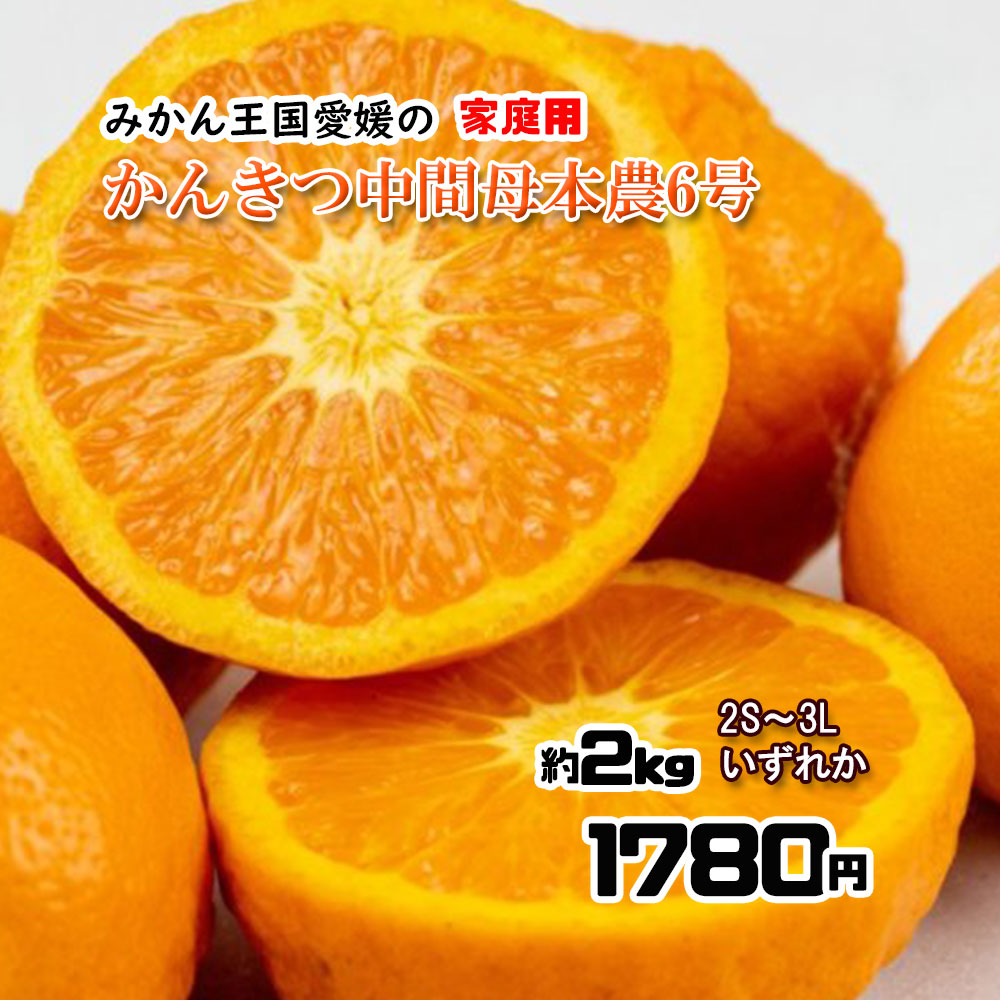 【楽天市場】かんきつ中間母本農6号 希少品種 柑橘 箱買い みかん 2S～3L 約2kg 送料無料：みかん横丁